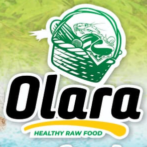Olara Enterprise — Bio Site