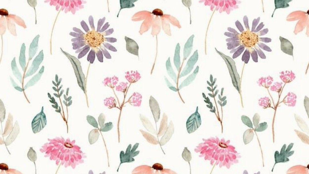 DACAM.OFICIAL — Bio Site