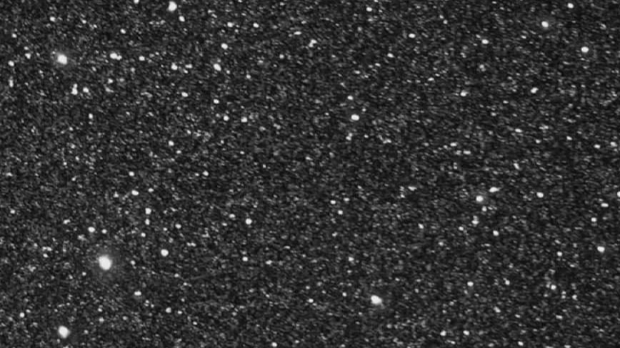 Hannah Harrison — Bio Site