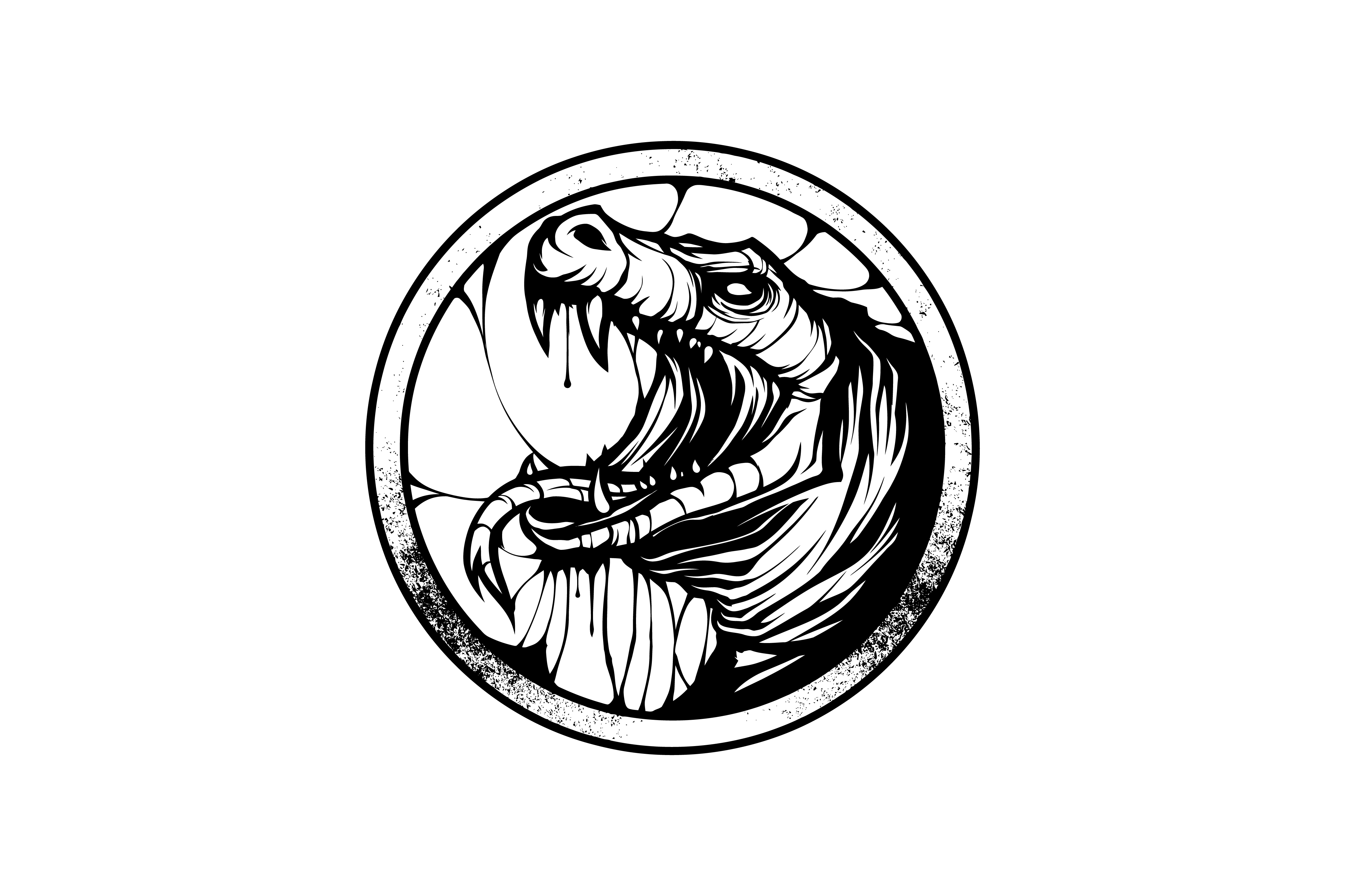 Komodo — Bio Site Komodo — Bio Site