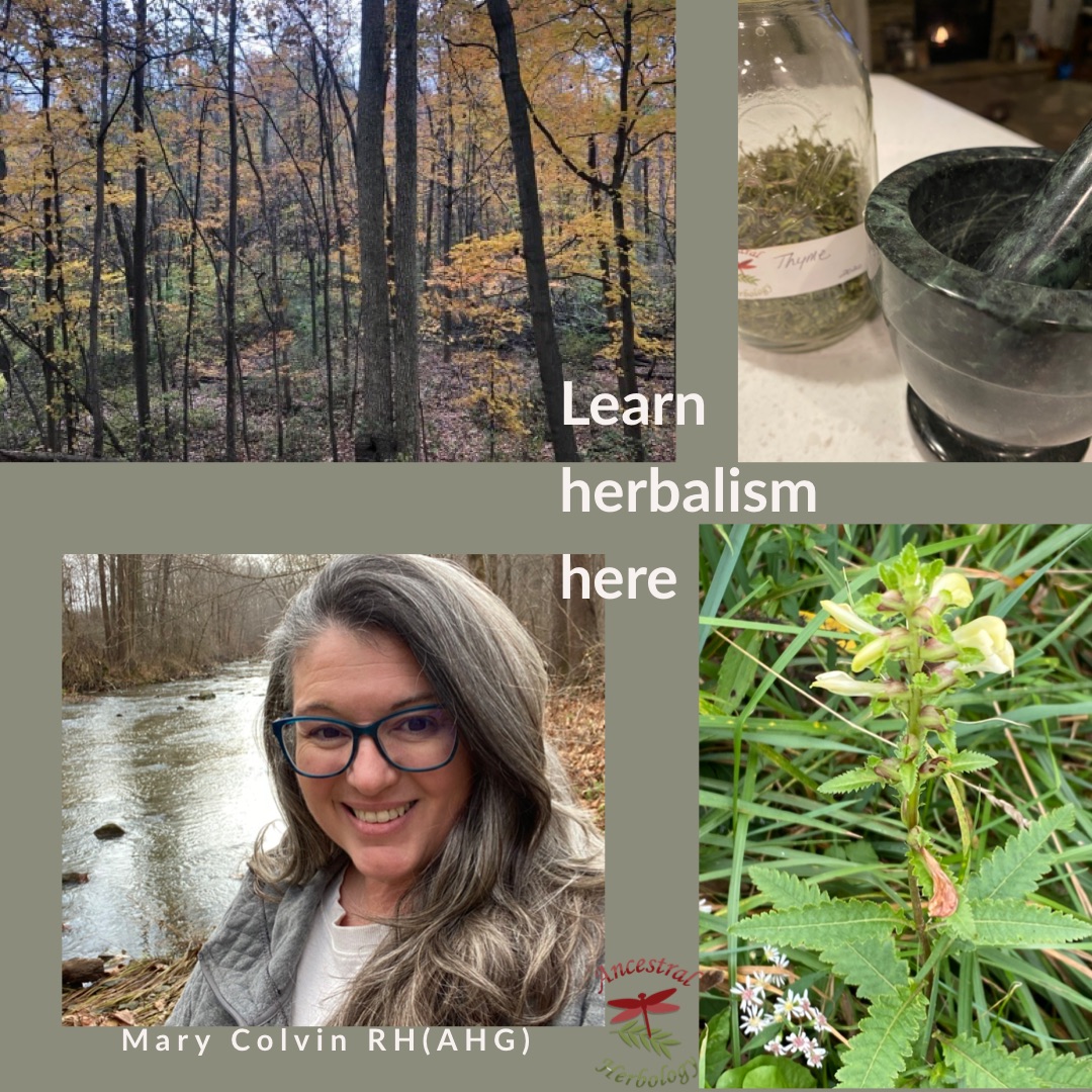 Mary Colvin RH(AHG) — Bio Site