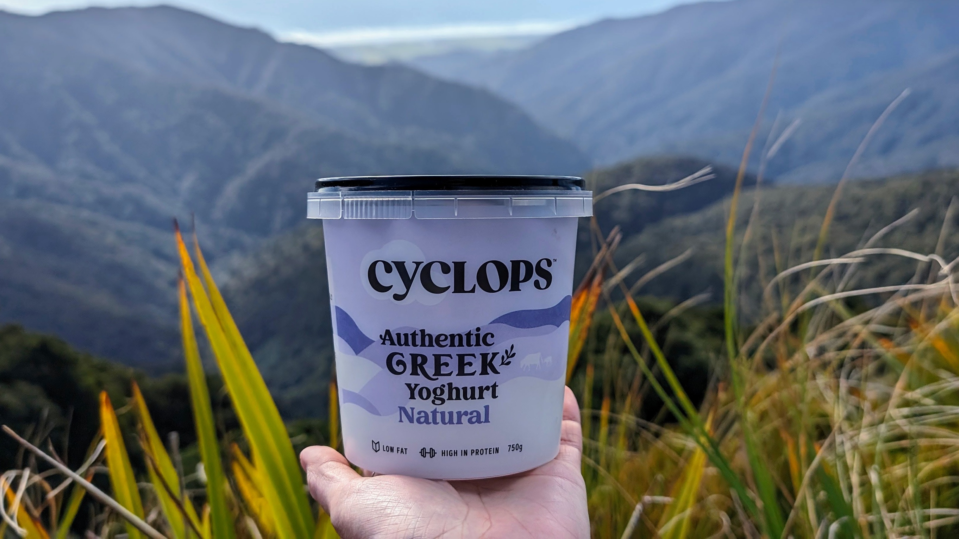 Cyclops Yoghurt — Bio Site