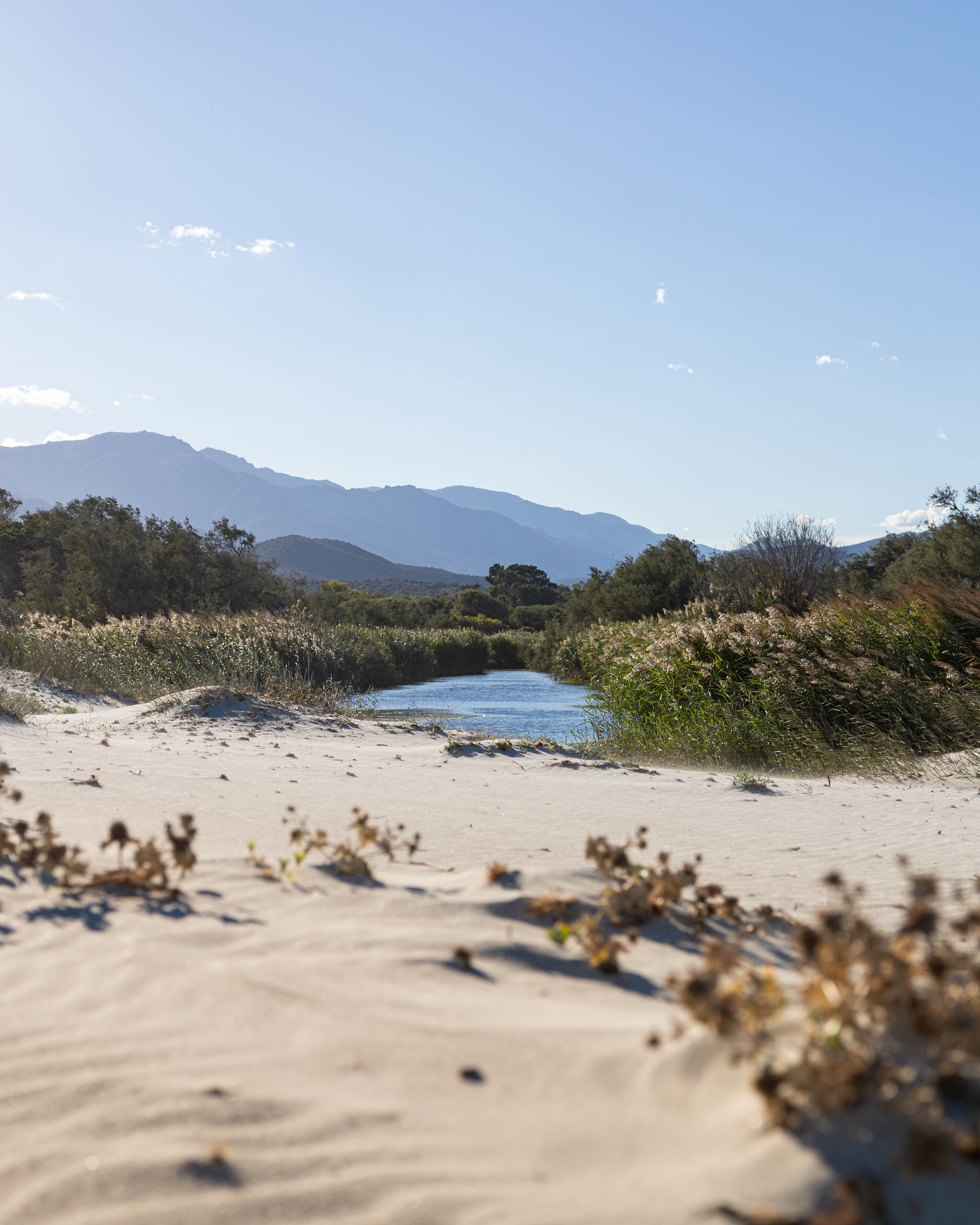 Michael Kalcher — Bio Site