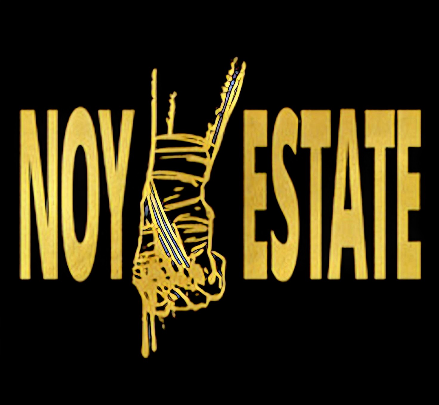 The Noy Estate — Bio Site