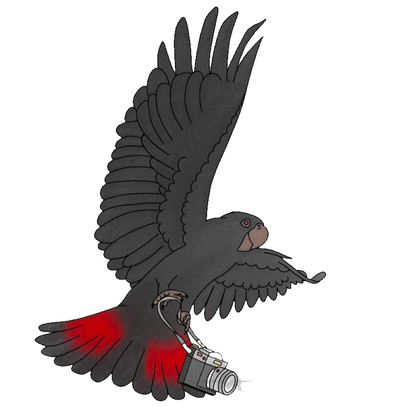 Jason Moyle — Bio Site