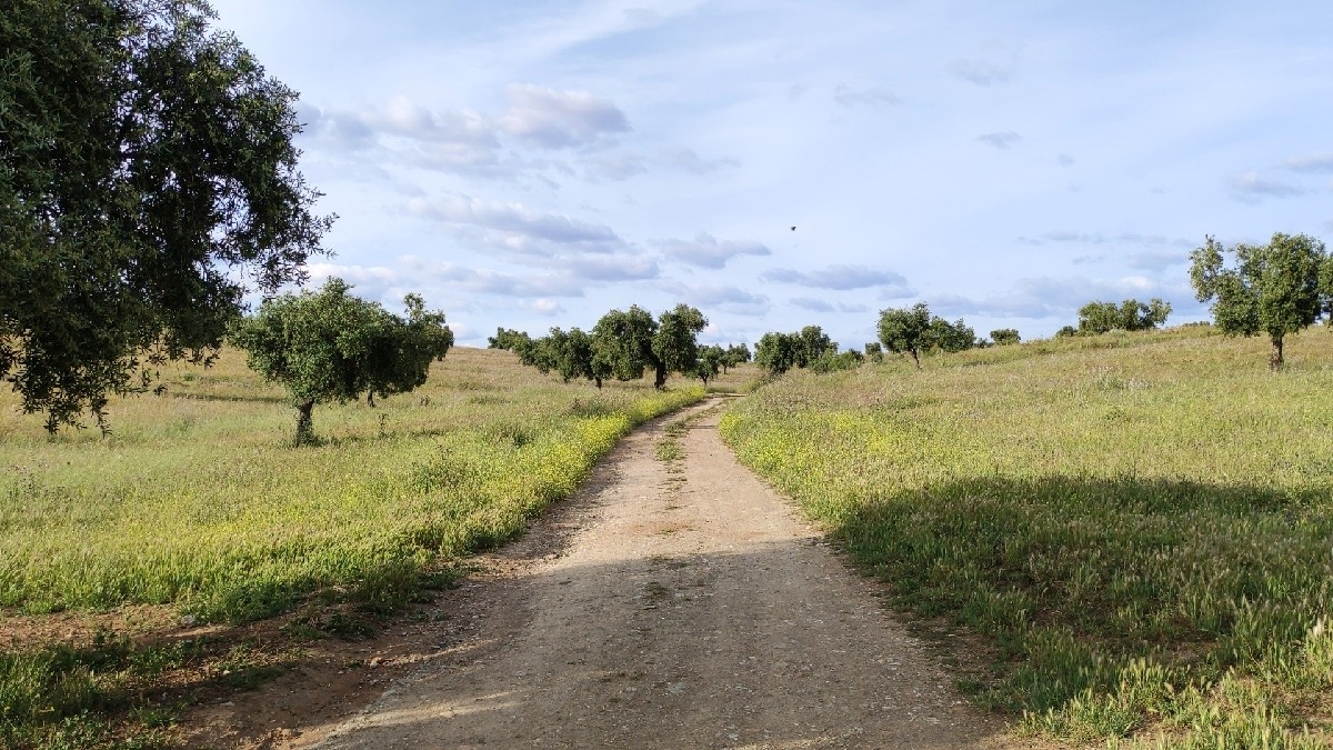 Jonathan Cabañas — Bio Site