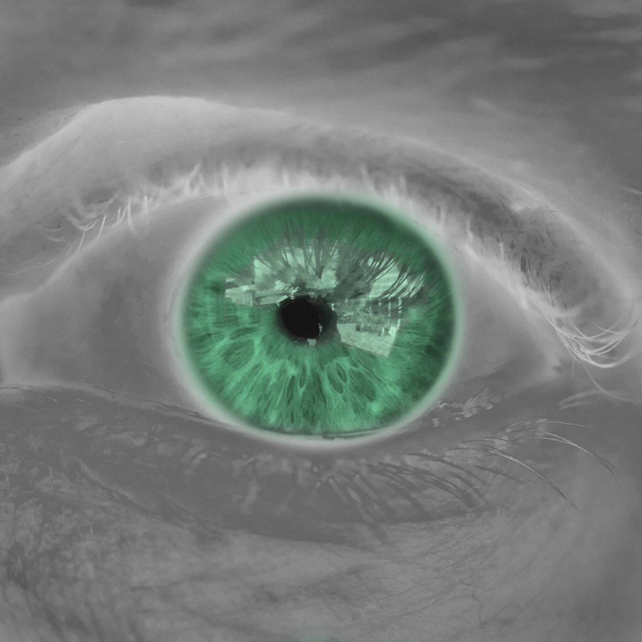 Patrick Jagger Photography