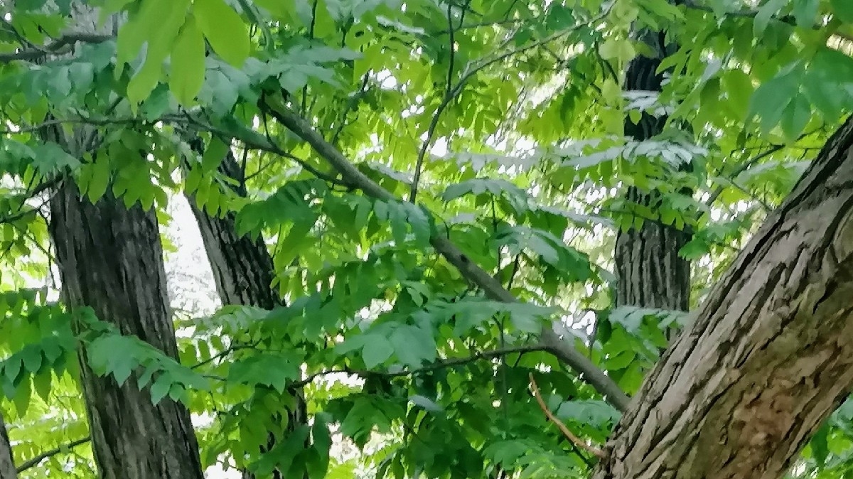 Ewa Sitko — Bio Site