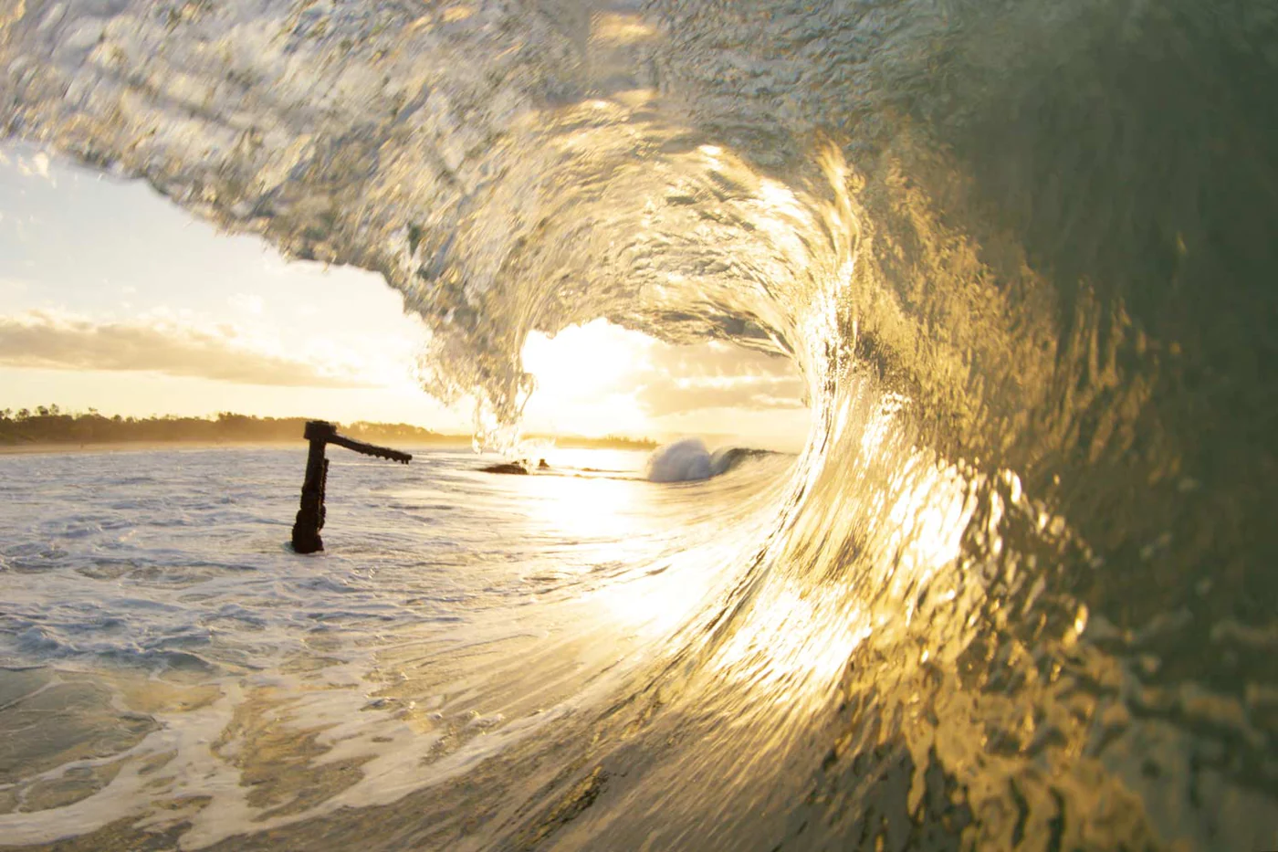 WRECK BYRON BAY — Bio Site