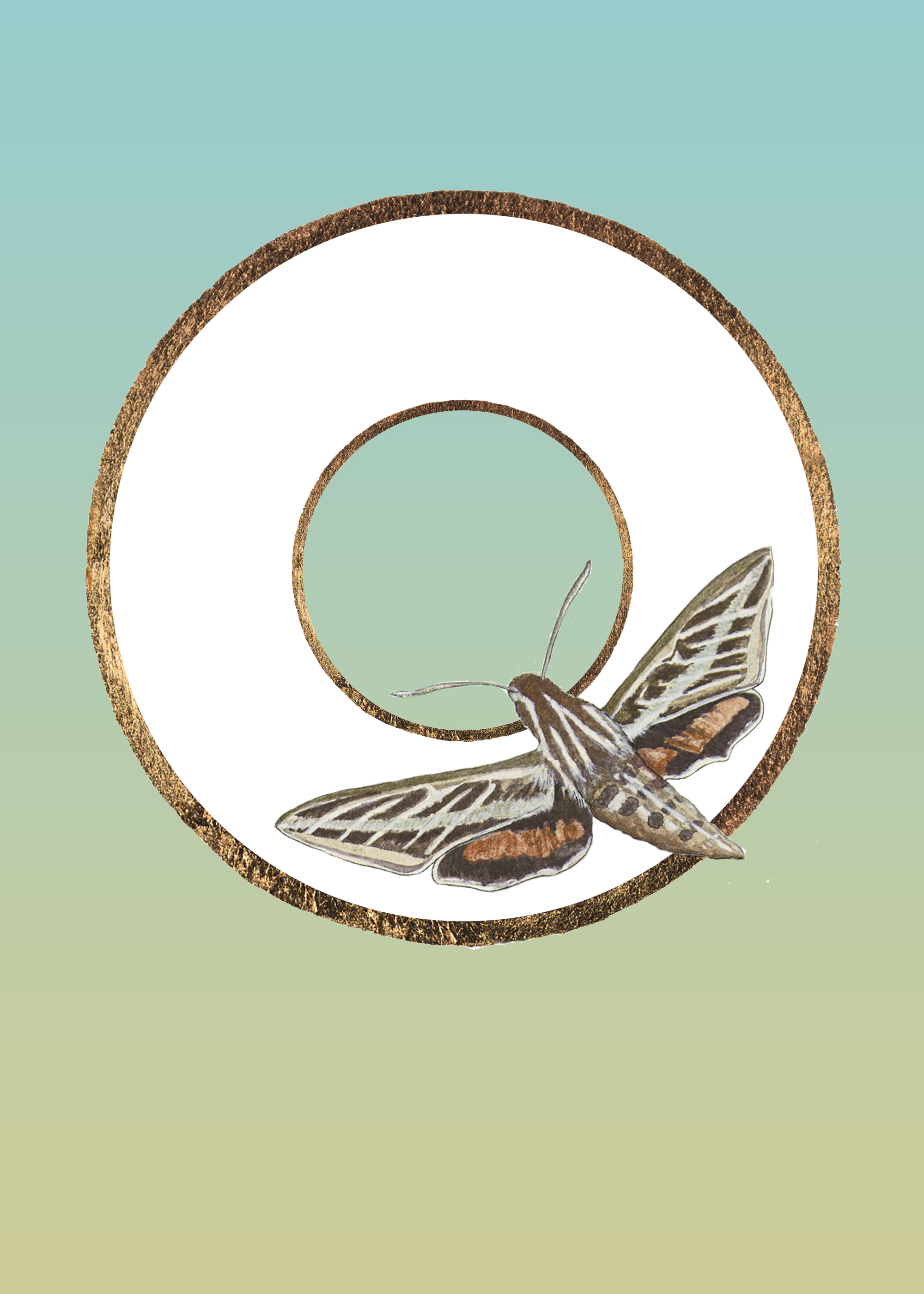 Maria Jost — Bio Site