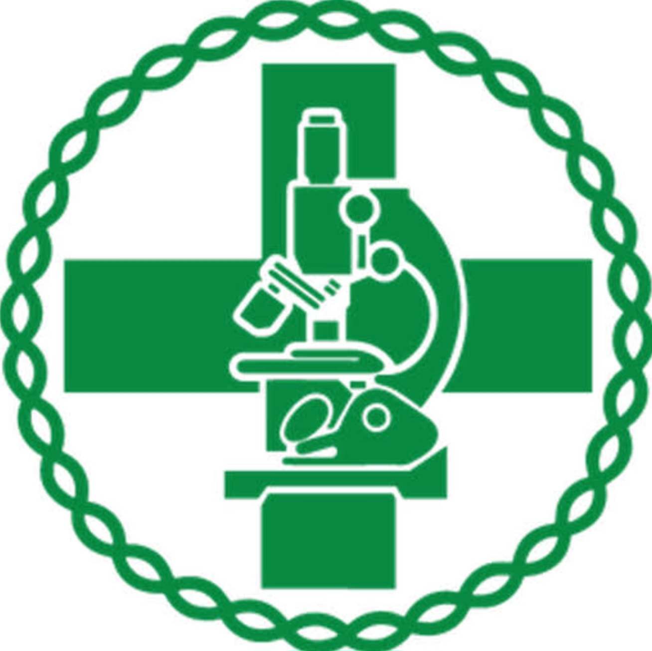 BioMed Bruna Karolaine — Bio Site