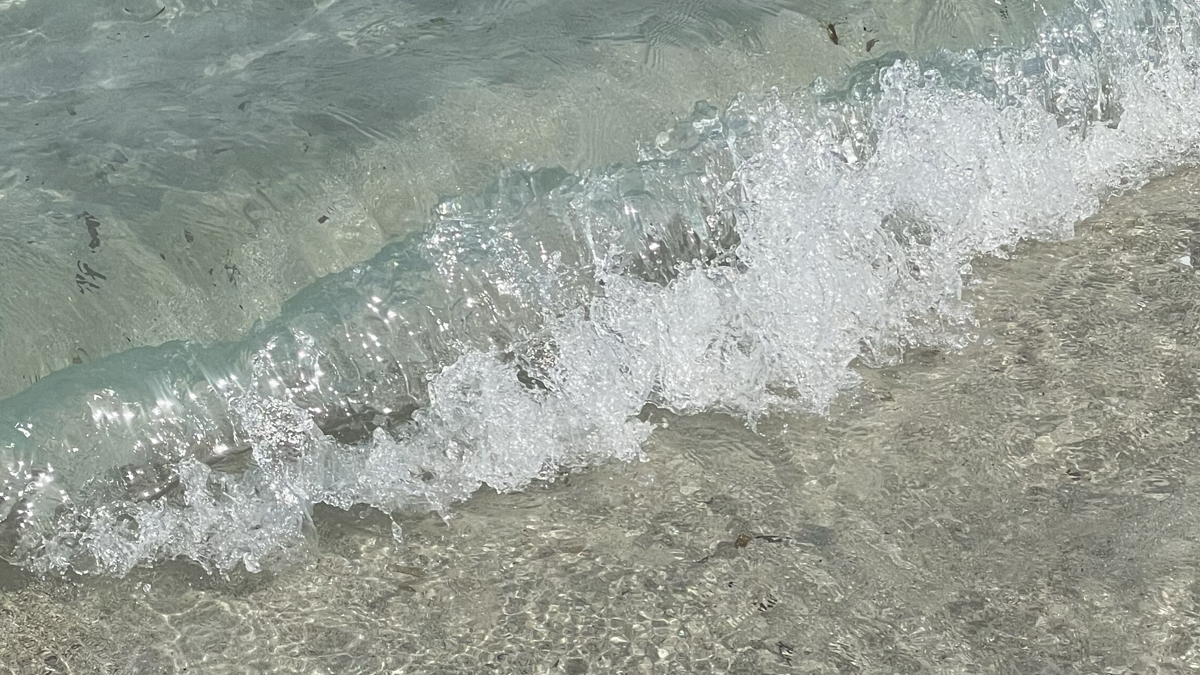 eden mangnus — Bio Site