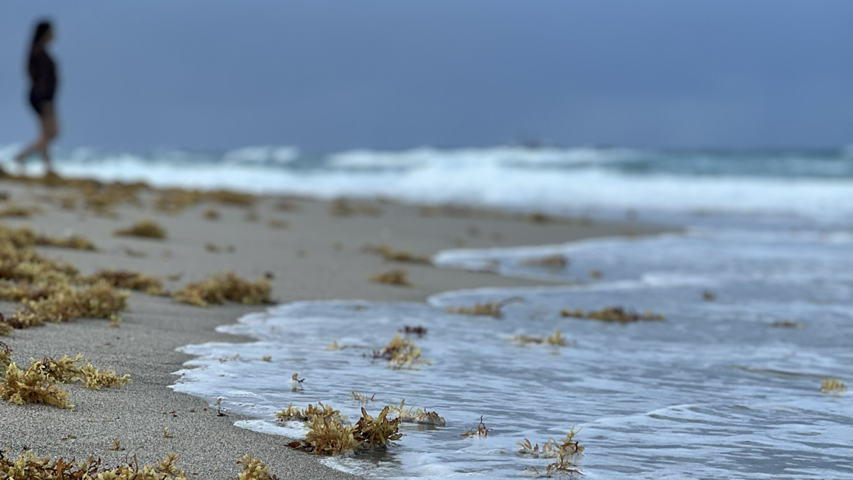 KT Taylor — Bio Site