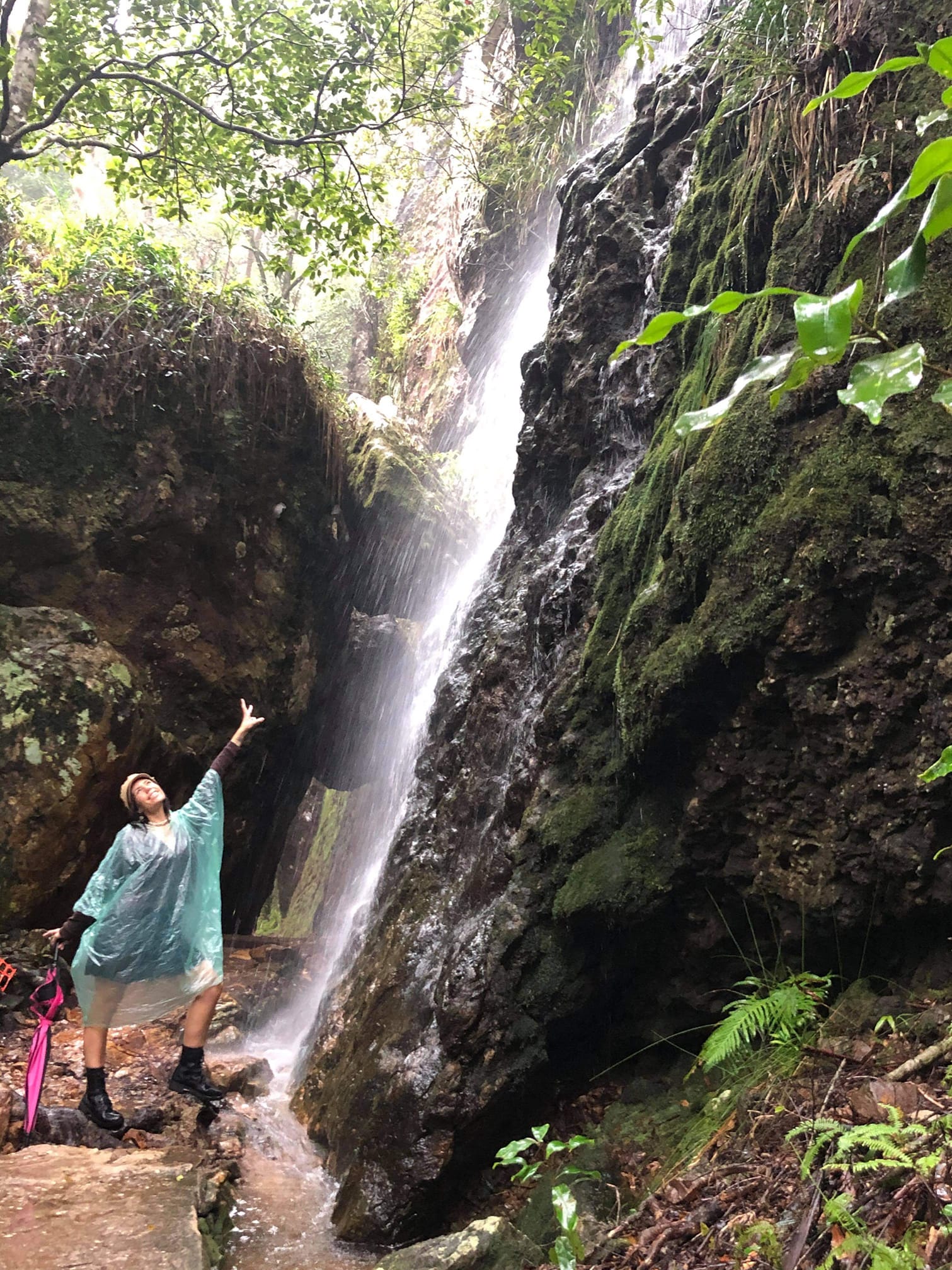 Tara Sempf — Bio Site