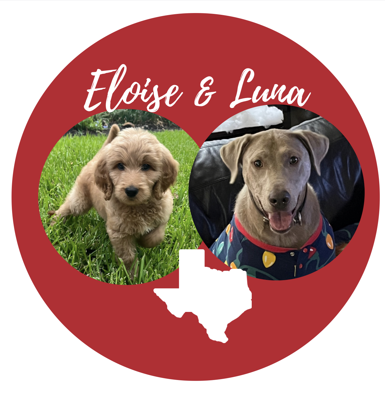 Eloise and Luna — Bio Site