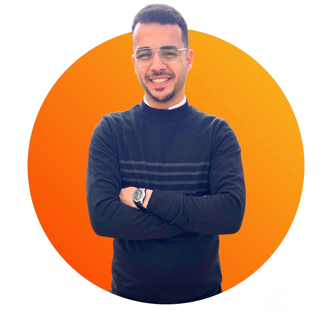 Mr. SAYED MAHMOUD — Bio Site
