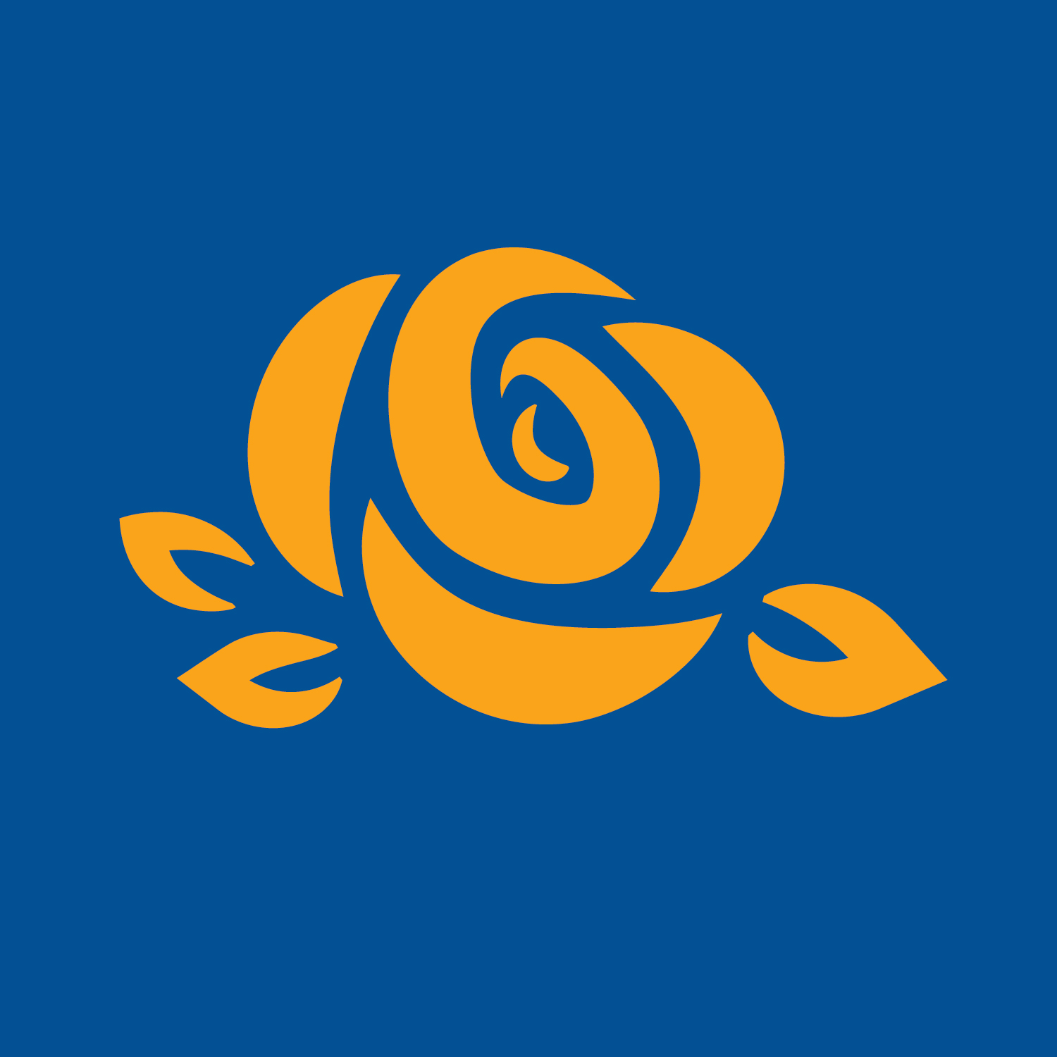 Ron Jansen — Bio Site