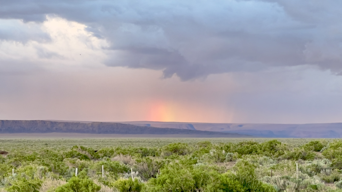 Scott Kloos — Bio Site