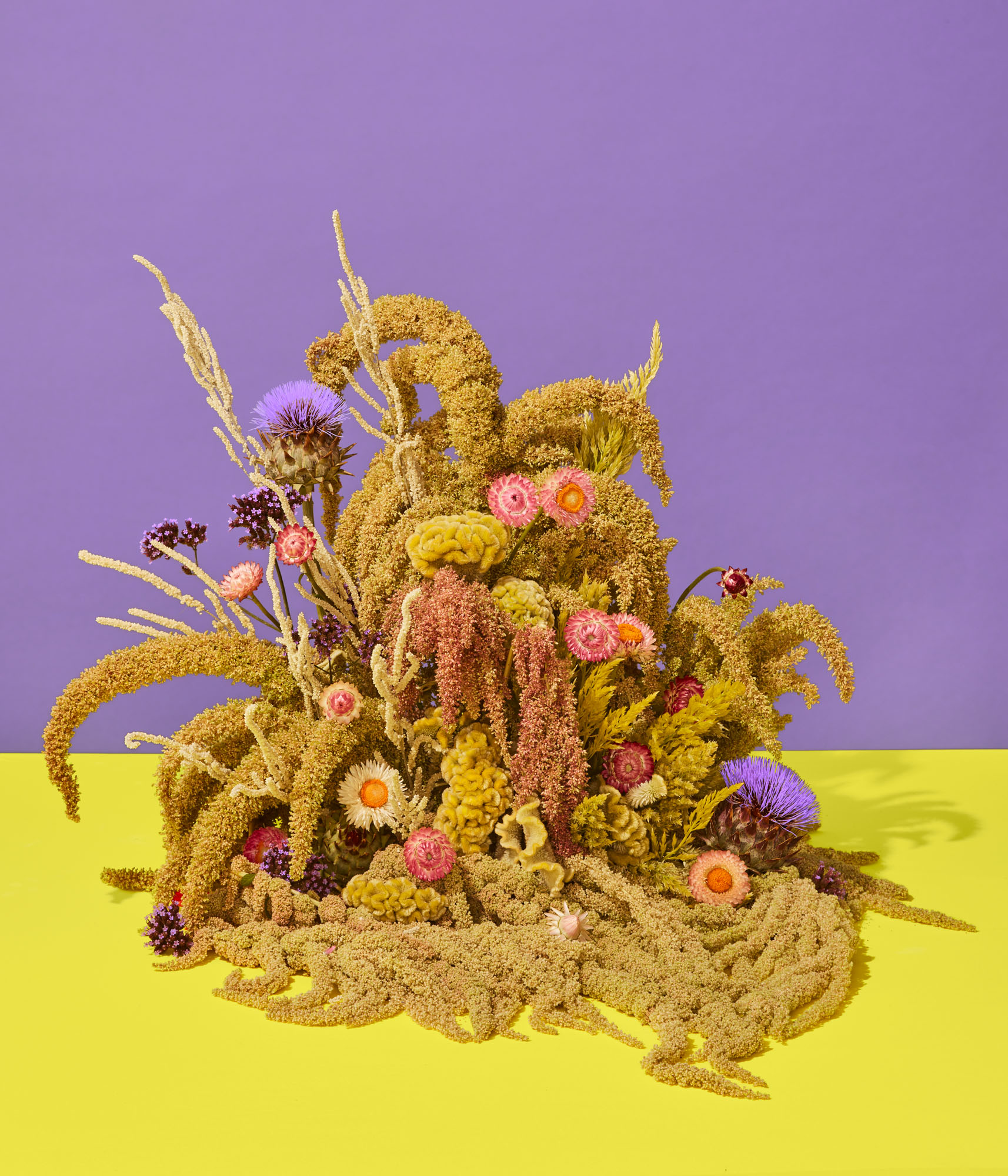 NADAV BENJAMIN — Bio Site