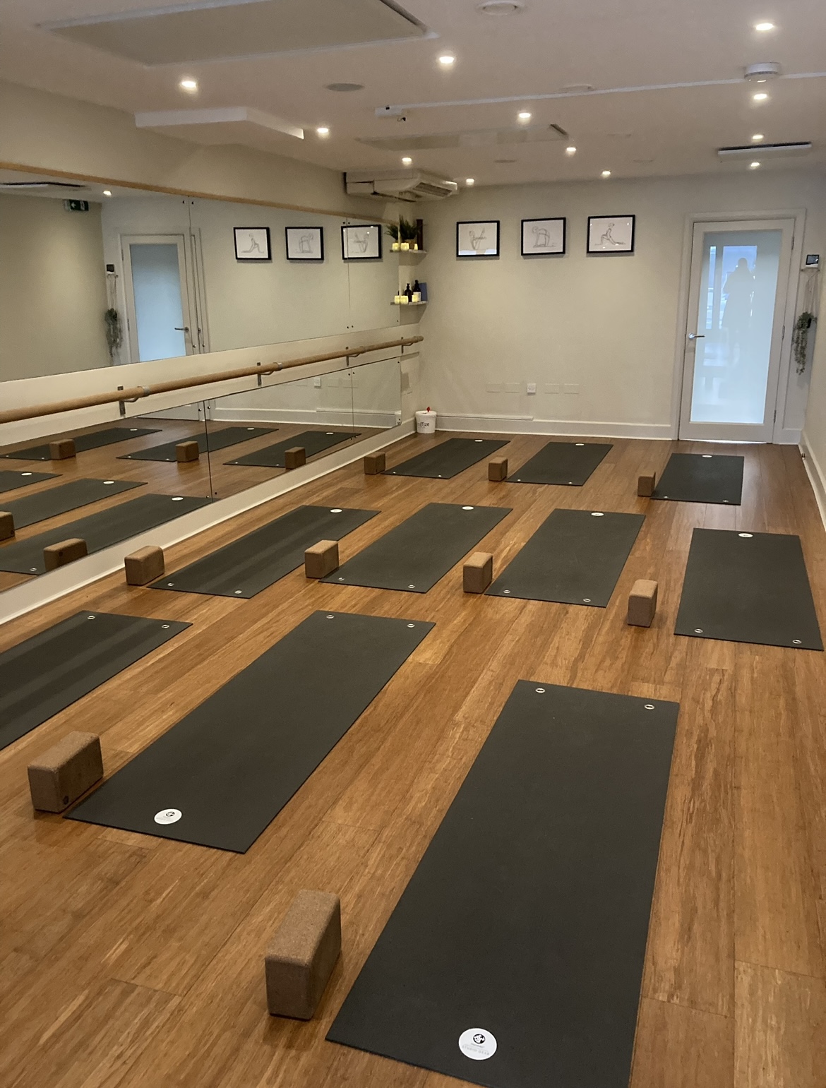 Align Studio — Bio Site