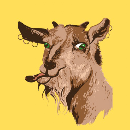 Cuppa Turca — Bio Site