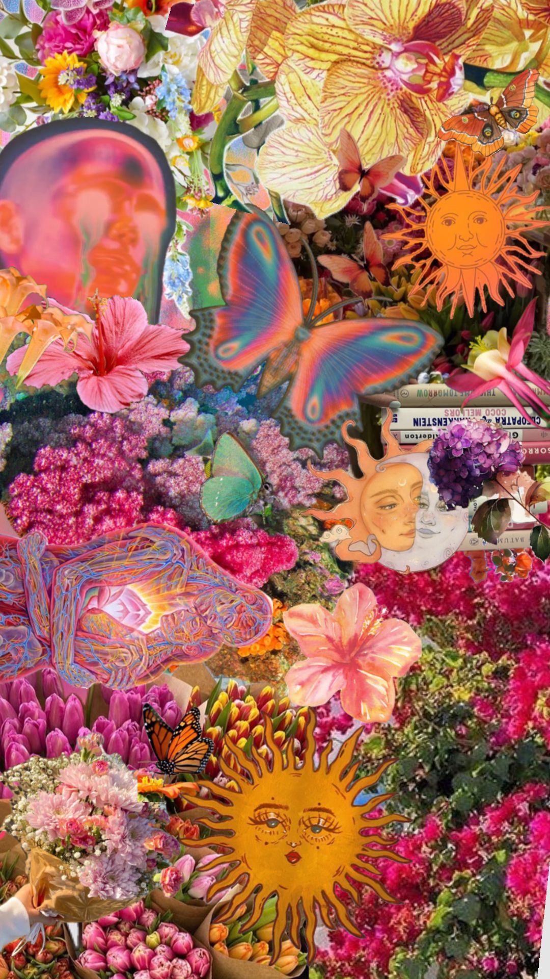 Amy Delfin — Bio Site