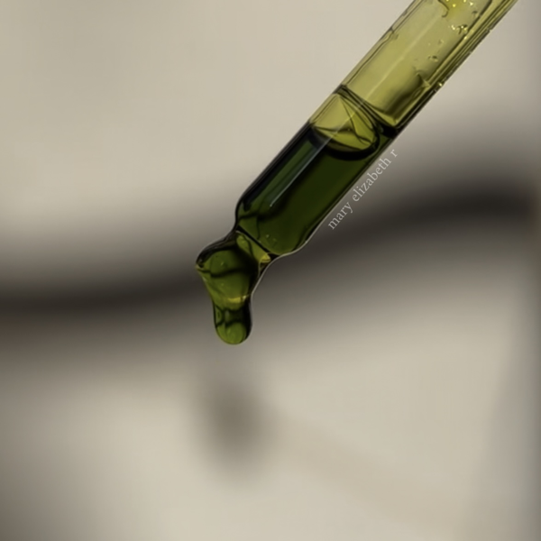 mary elizabeth r — Bio Site