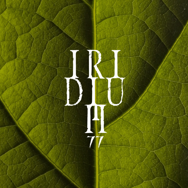 Iridium 77 Studio — Bio Site