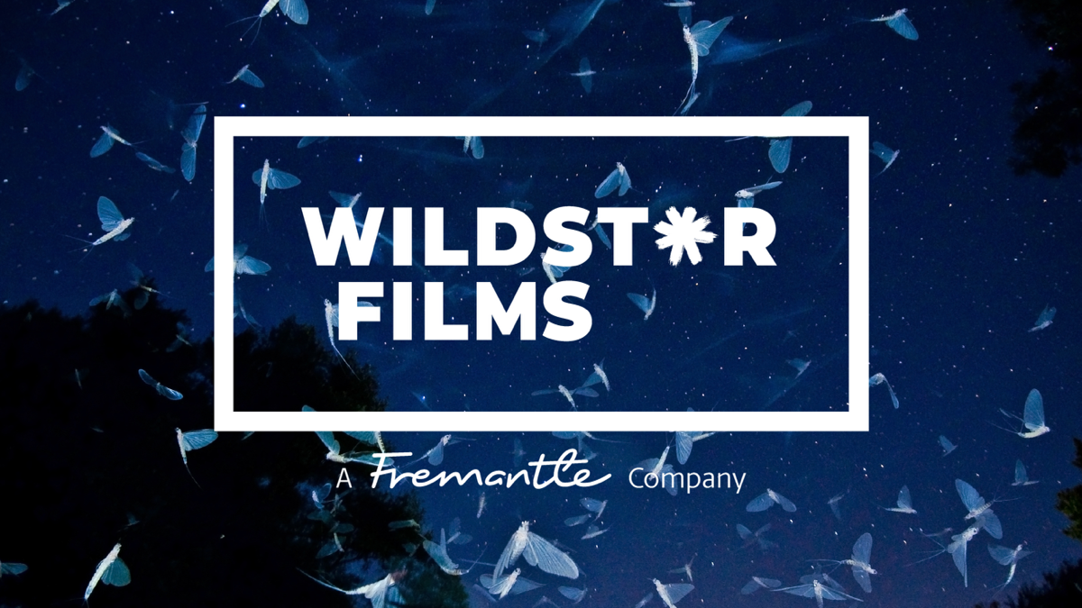 Wildstar Films — Bio Site