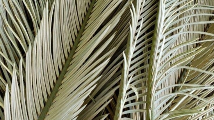 🛍 shop my Amazon favorites