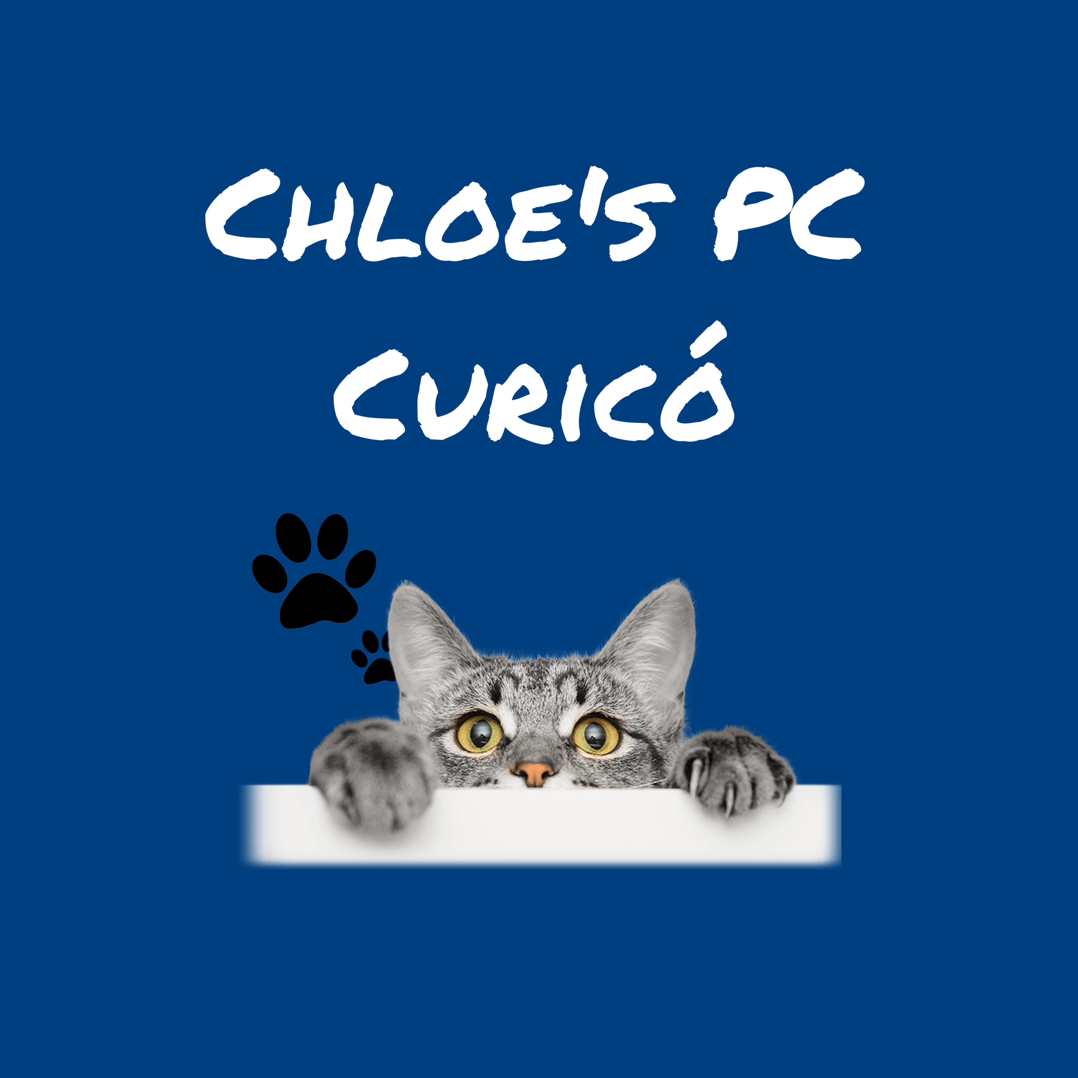 Chloe's PC Curicó — Bio Site