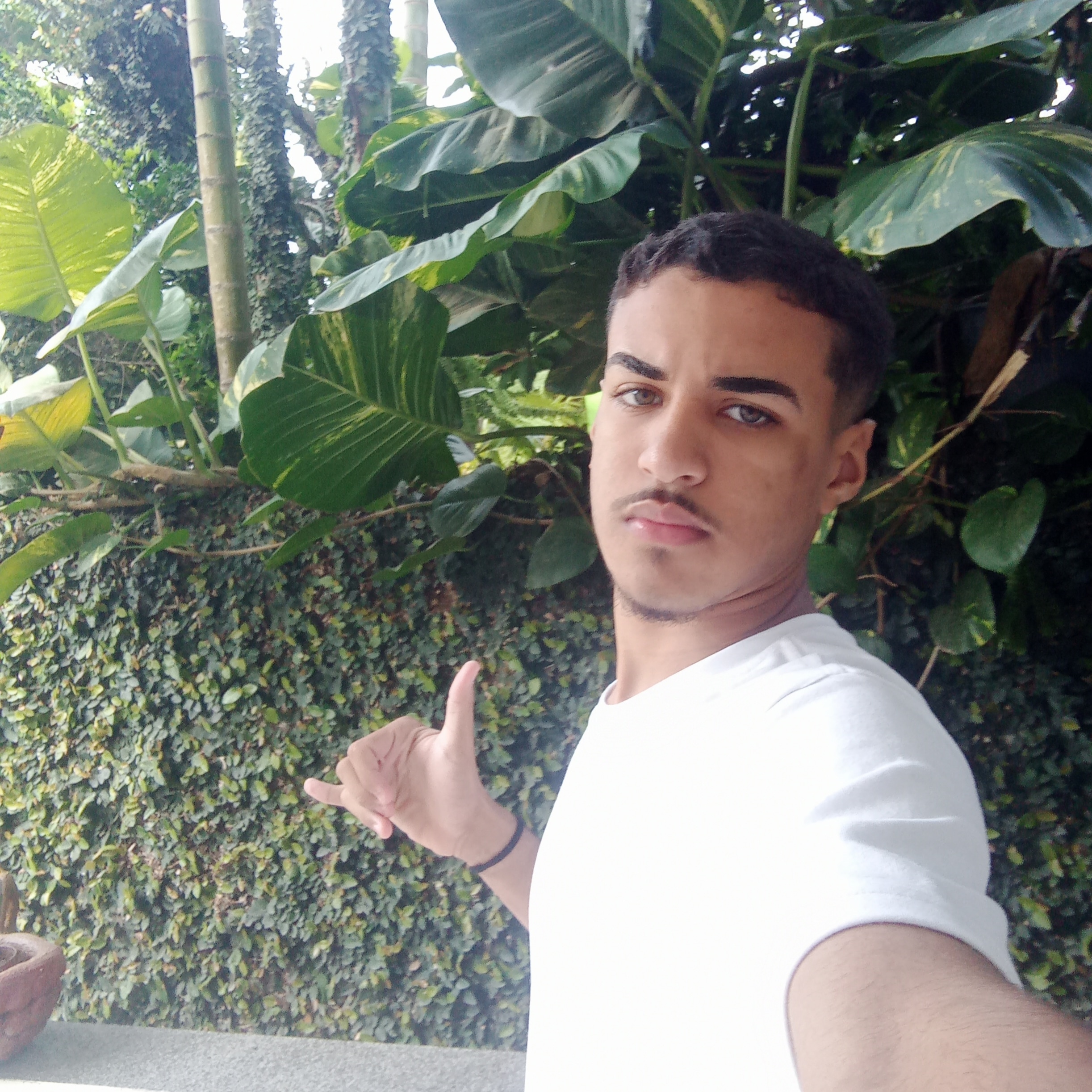 BRAYAN SANTOS — Bio Site