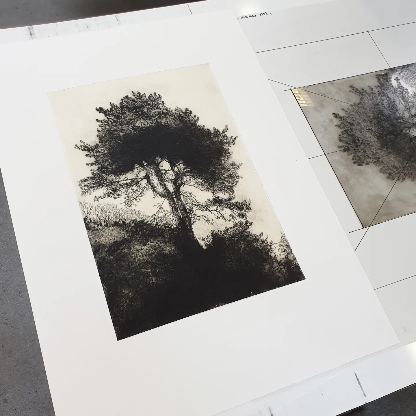 Fiona Hamilton Printmaking — Bio Site