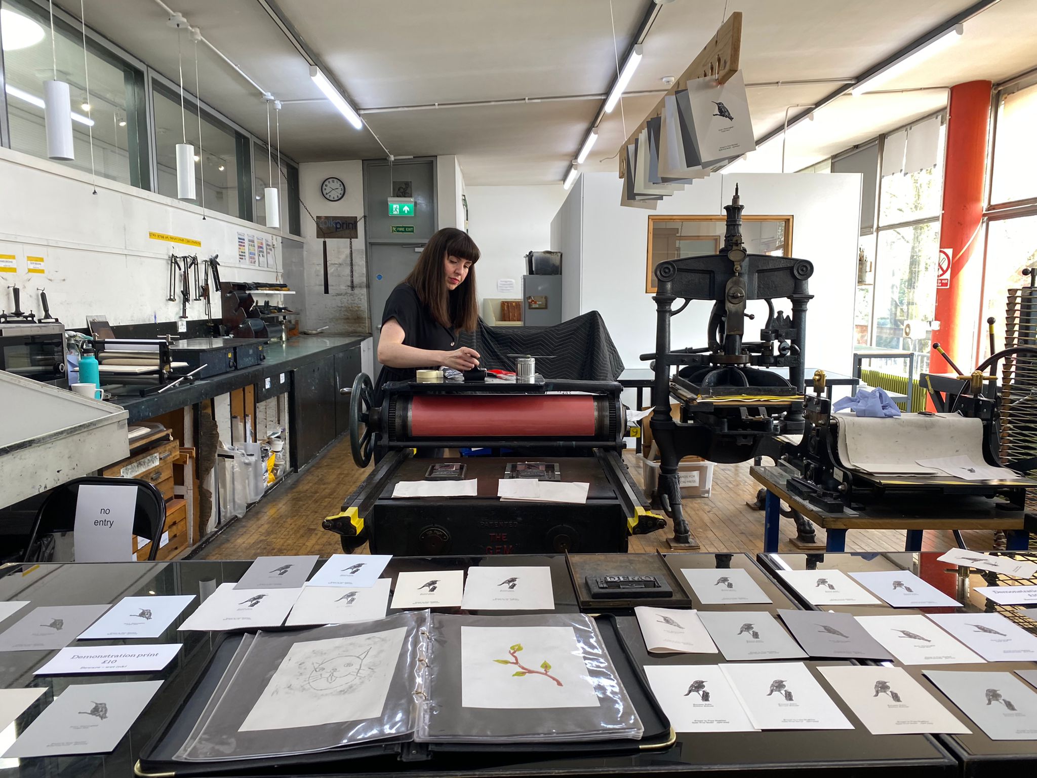 Fiona Hamilton Printmaking — Bio Site