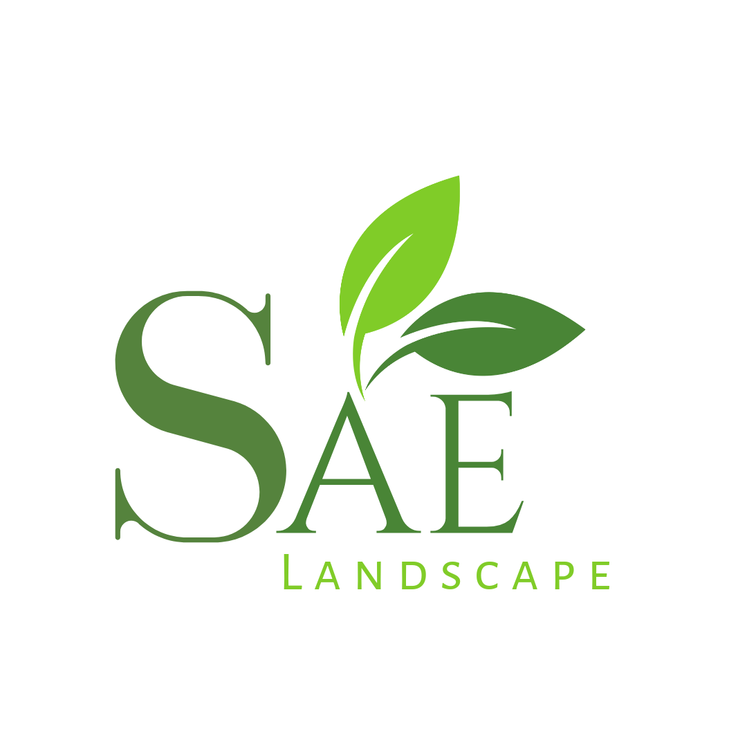Sae Landscape — Bio Site