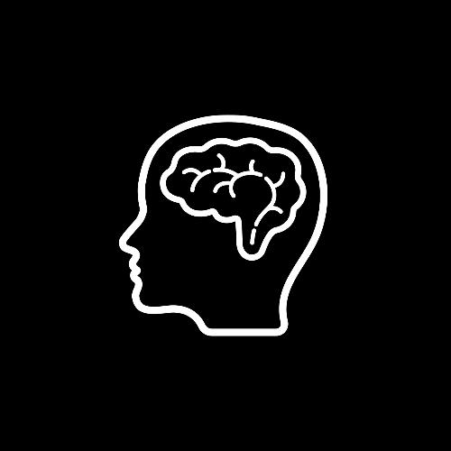 Mindset Theory — Bio Site