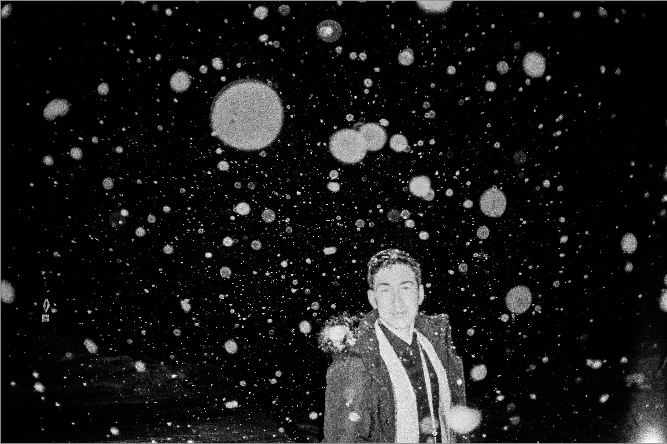 Daniel Garber — Bio Site