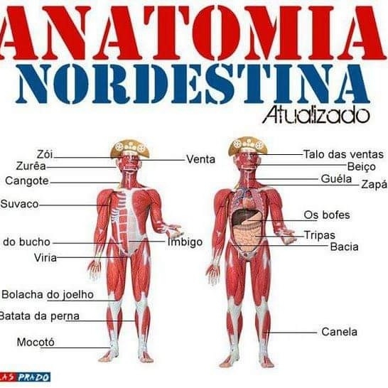 @libro Antonio — Bio Site