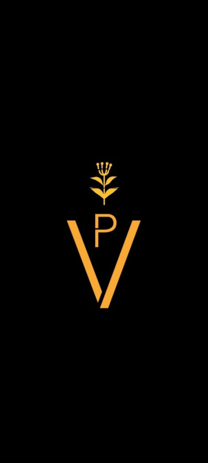 Victor Poizer — Bio Site