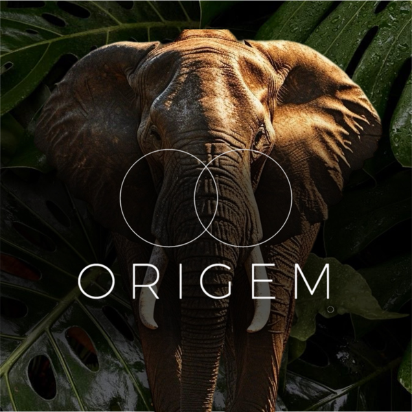 ORIGEM — Bio Site