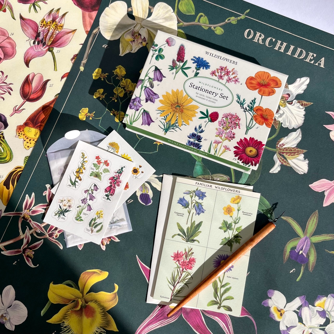 Cavallini Papers & Co. — Bio Site