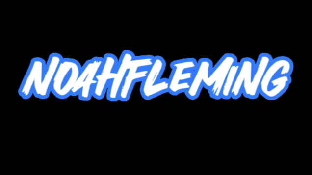 Noah Fleming — Bio Site