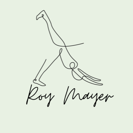 Roy Mayer | רועי מאייר — Bio Site