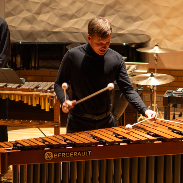 Havner Music — Bio Site