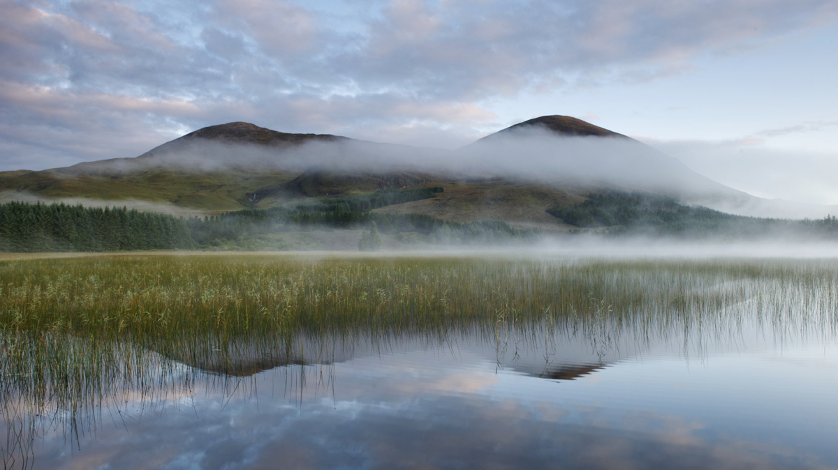 Jim Richardson — Bio Site