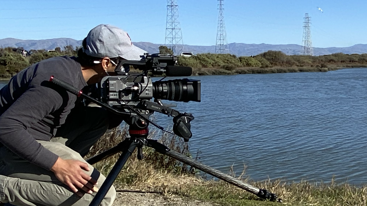 Daniel Negrete — Bio Site