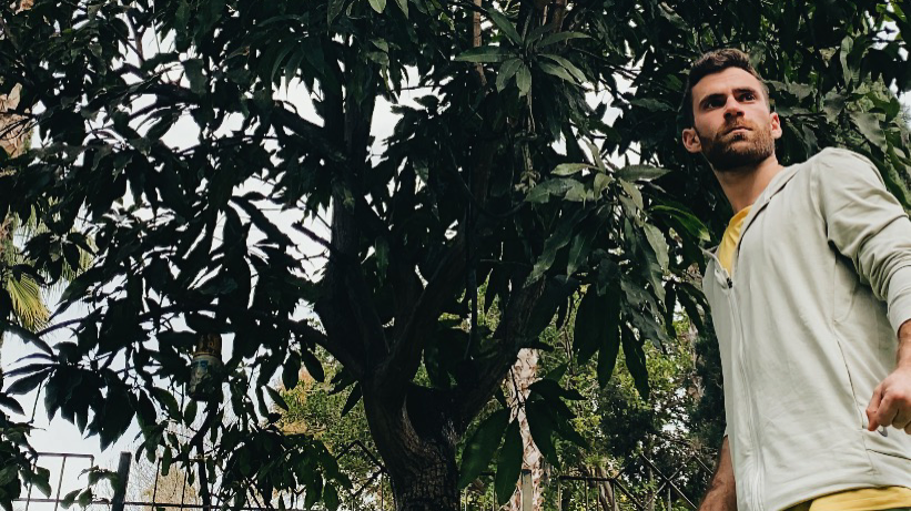 Roy Mayer | רועי מאייר — Bio Site