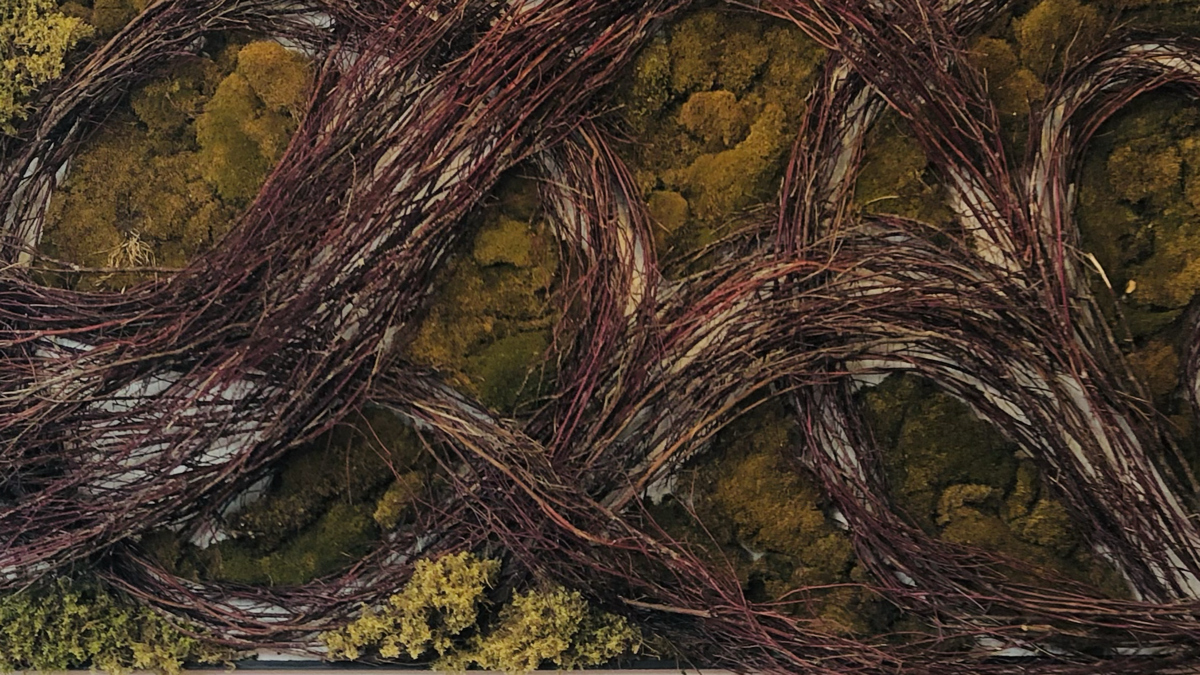 Jodi Rose Studio — Bio Site