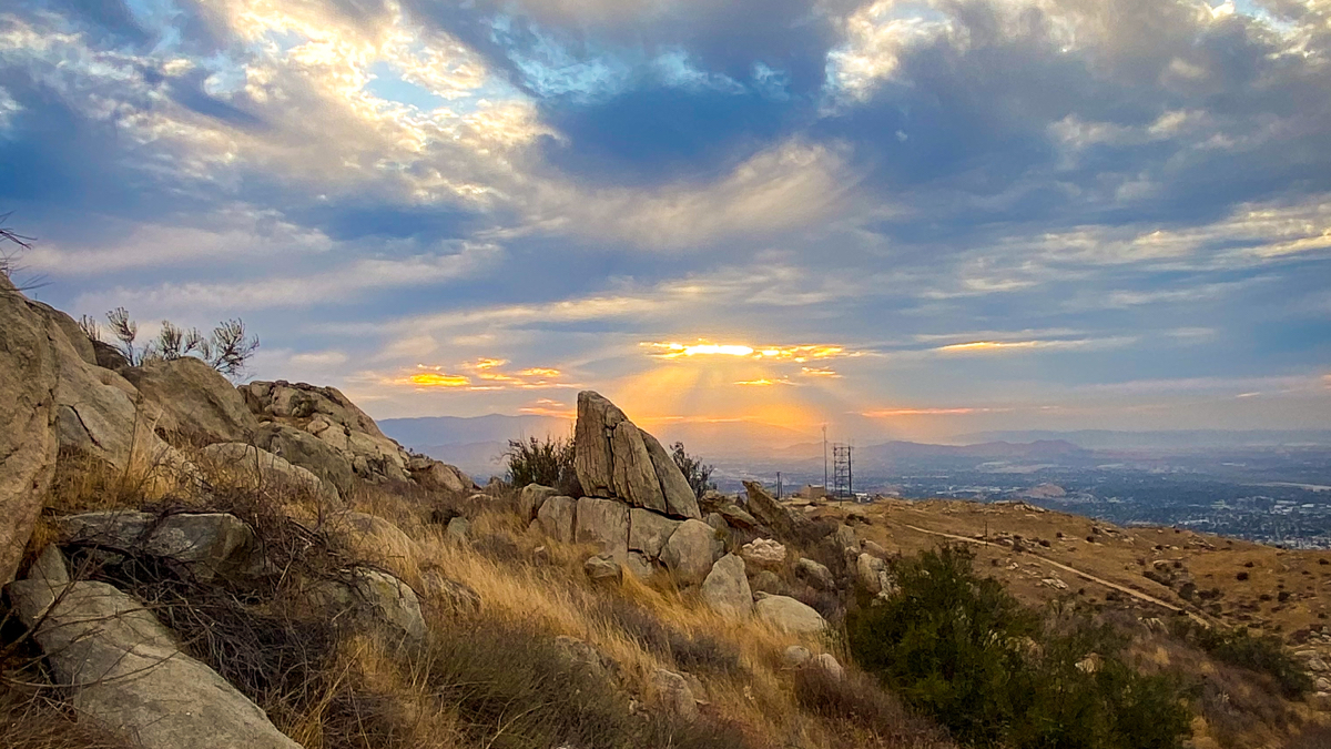 Miss Tass — Bio Site