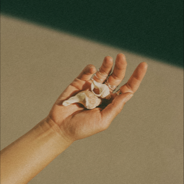 Rumi ☼ — Bio Site